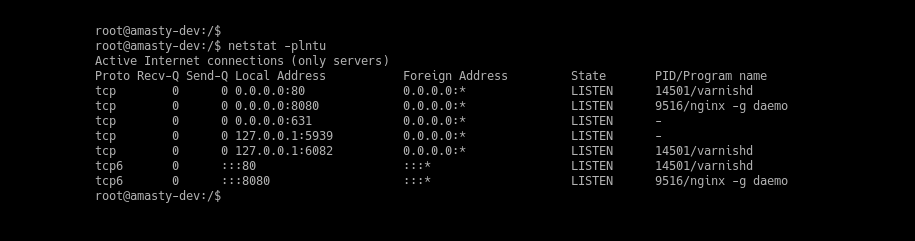 Varnish in Magento 2 [Basic Settings & Practical Use]